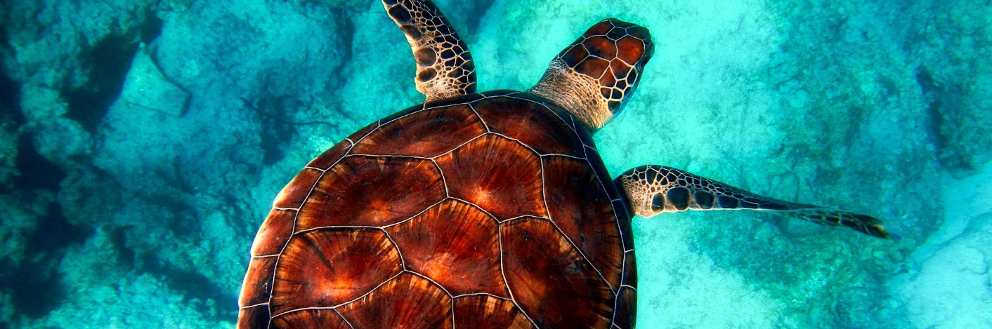 Kloska Group – Kloska Group